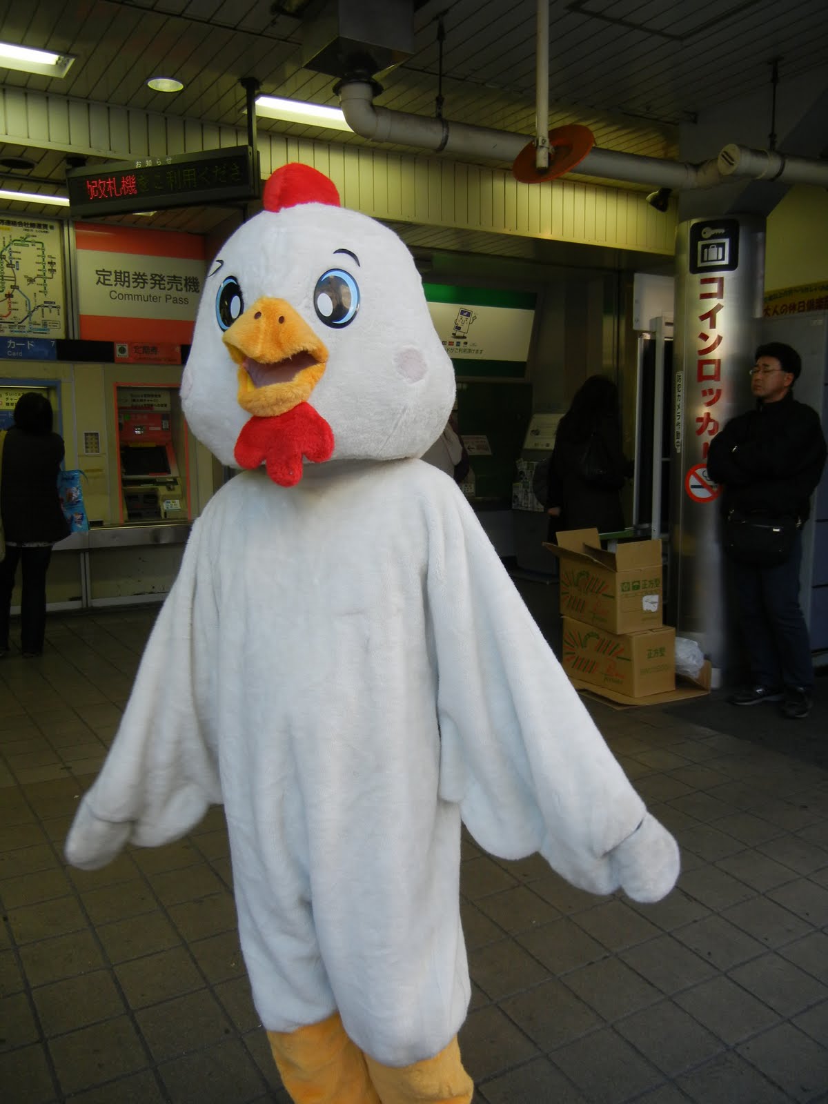 Agepoyo: Japan - The Strange Country