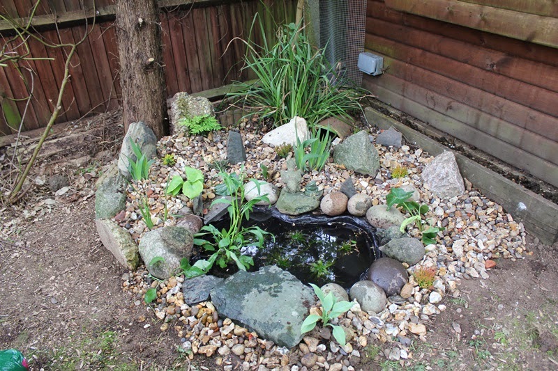 The Balancing Kiwi: Rockery & Pond finished!