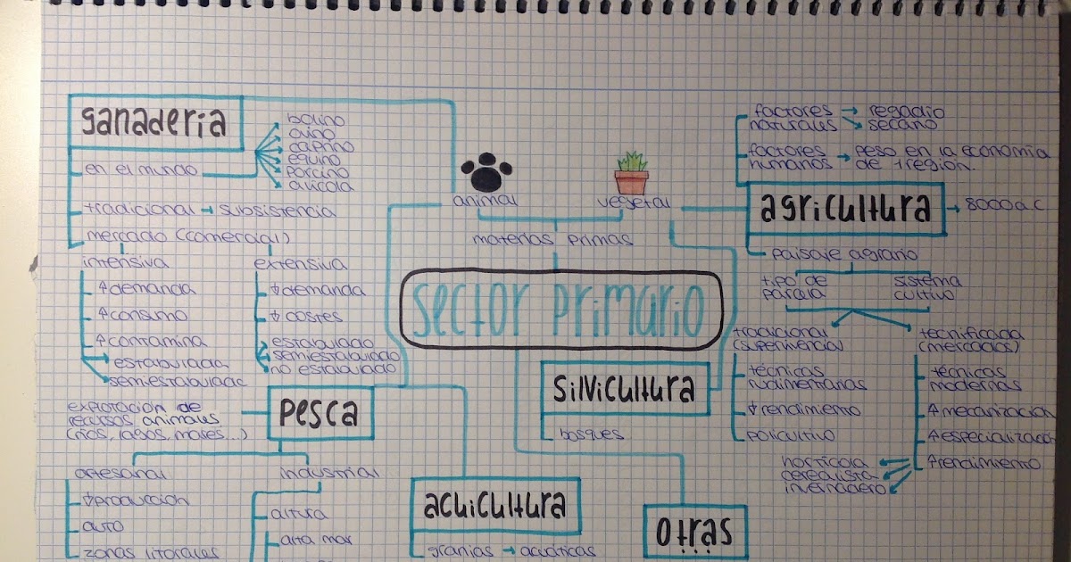 Pedazos de Historia: Mapa Mental SECTOR PRIMARIO