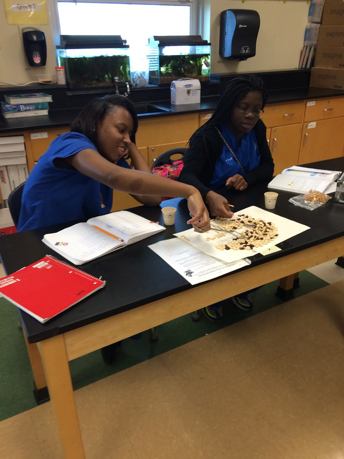 Mrs. Greeley Howard’s Biology Class: Bird Beak Lab