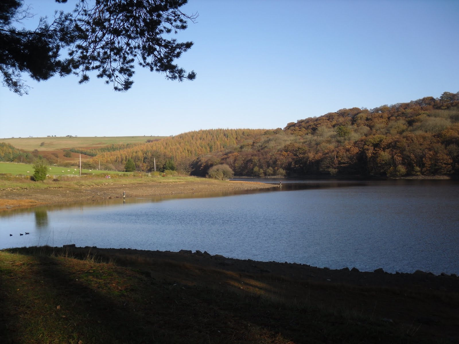 Rambling Nana: Wolsingham, Tunstall Reservoir Circular