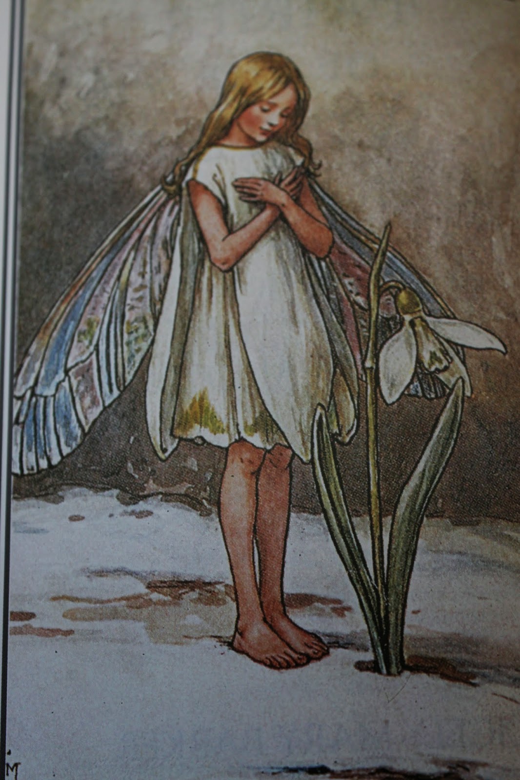 the marlowe bookshelf: Winter Flower Fairies