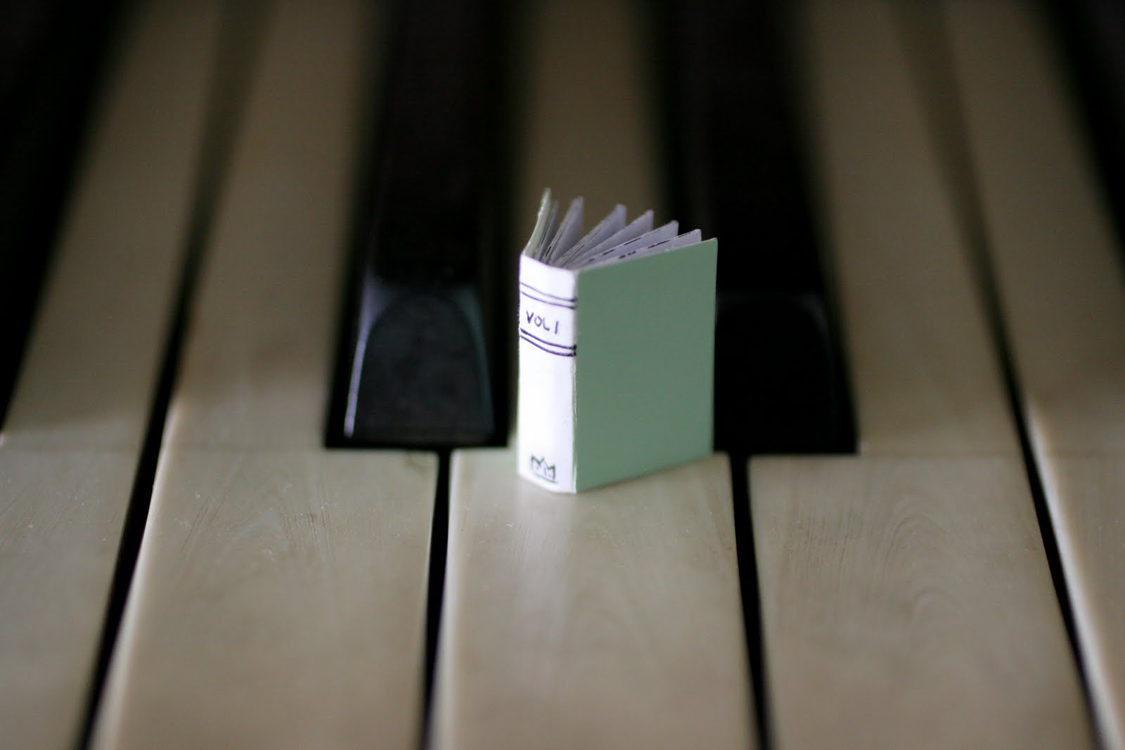 The Brooding Hen: Very Tiny Blank Books