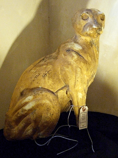 Pandora's Parlor: Vintage Taxidermy Bobcat Forms