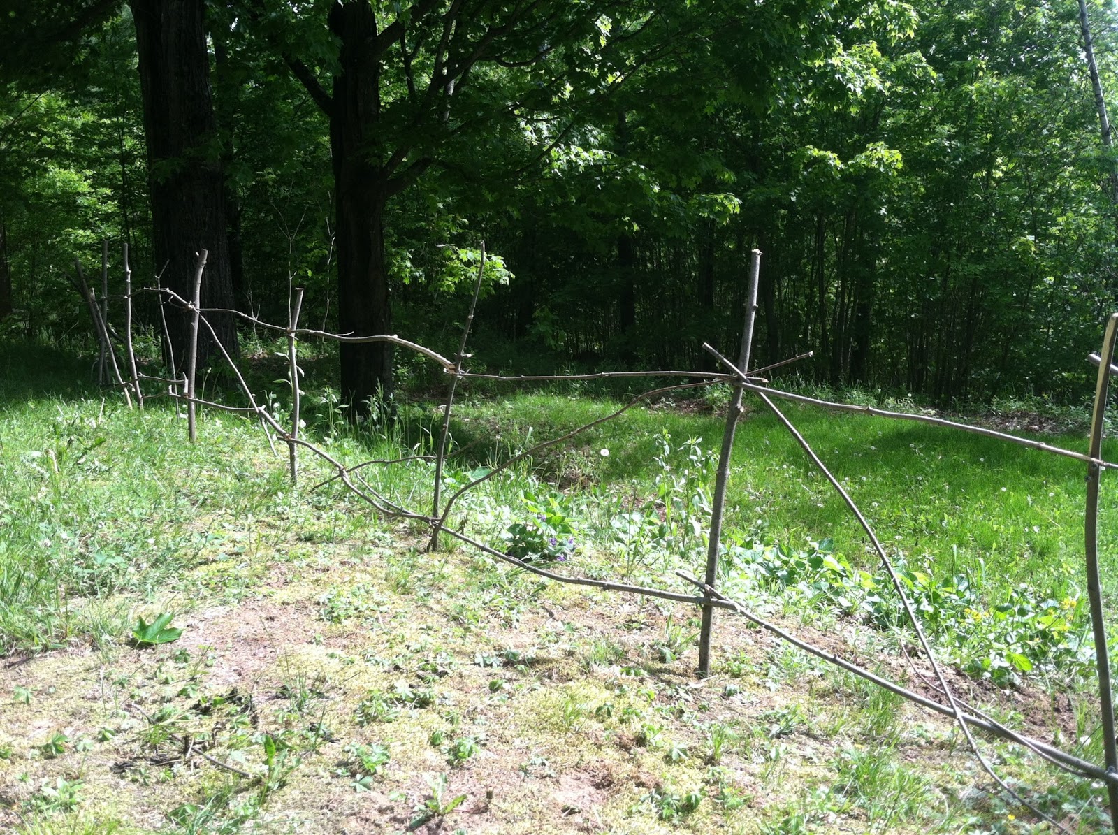 Sew Dog Gone Cute: Stick Fence