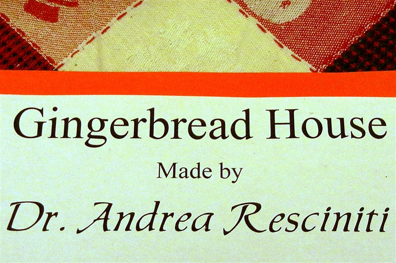 Capadia Designs: An Amazing Gingerbread House