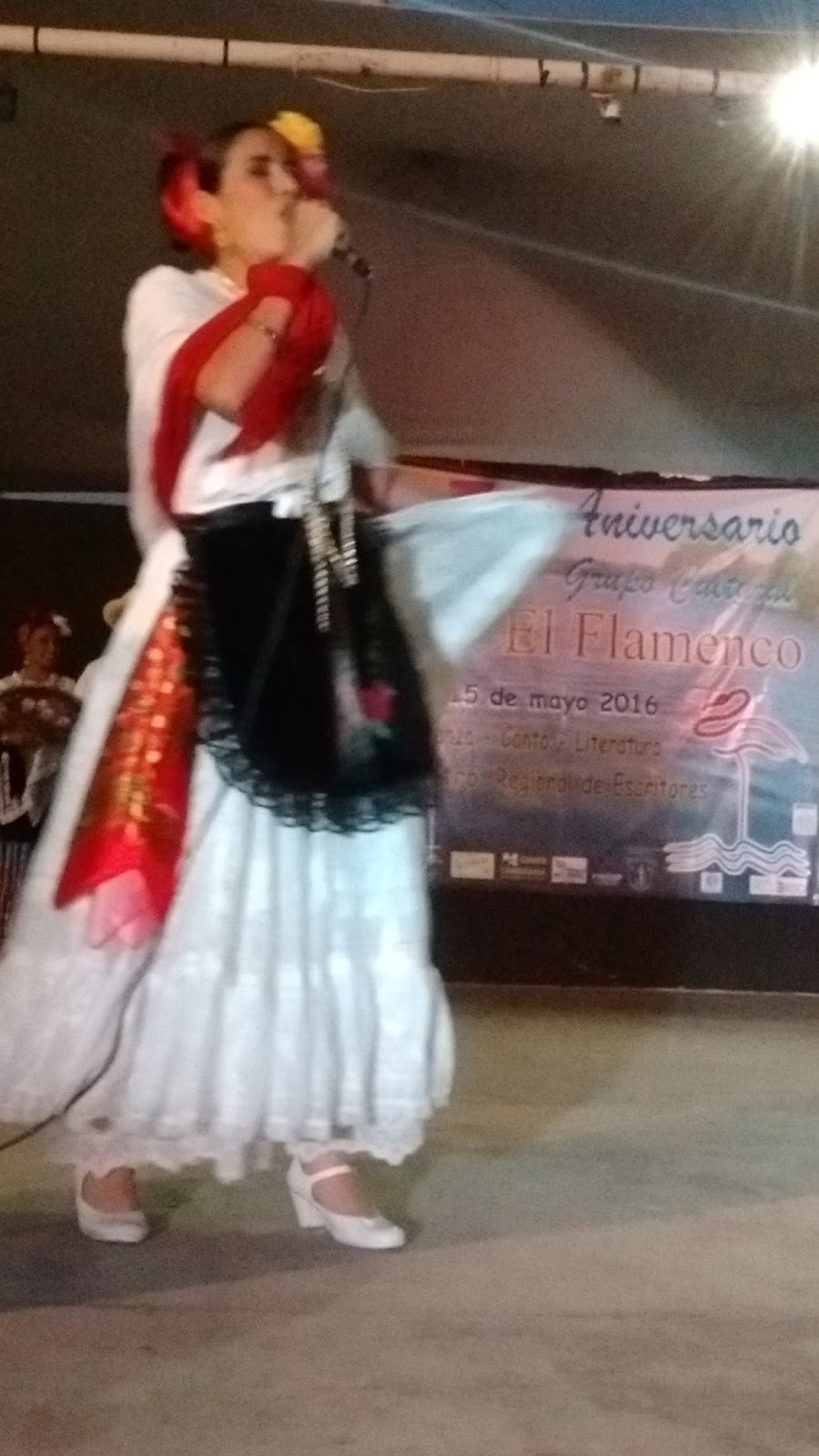 Asociación Artístico-Cultural El Flamenco A. C.: Fandango jarocho en ...