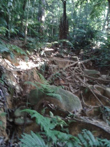 Hiking and Stuff: Gunung Nuang via Hulu Langat