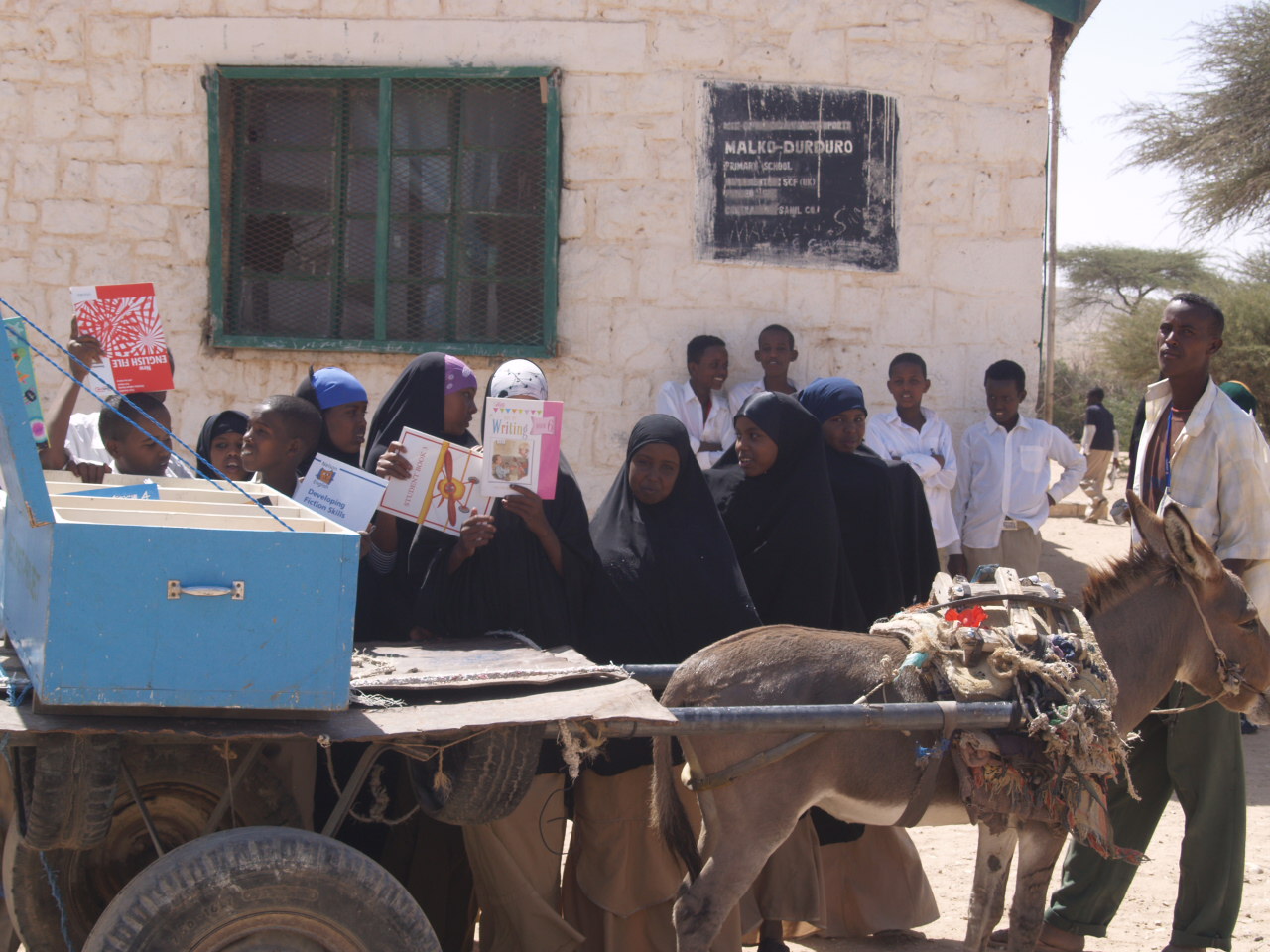 Bookshelf: Help stock donkey-drawn libraries in Somalia