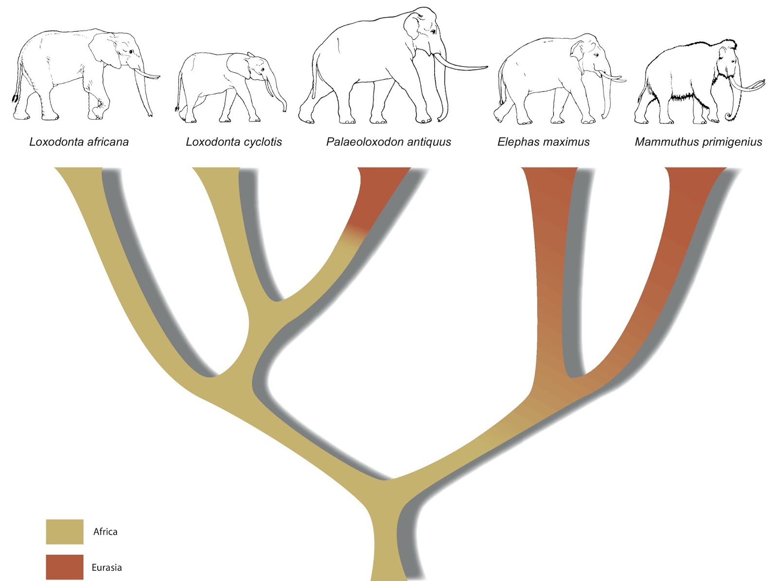 GW Human Evolutionary Genetics : February 2018
