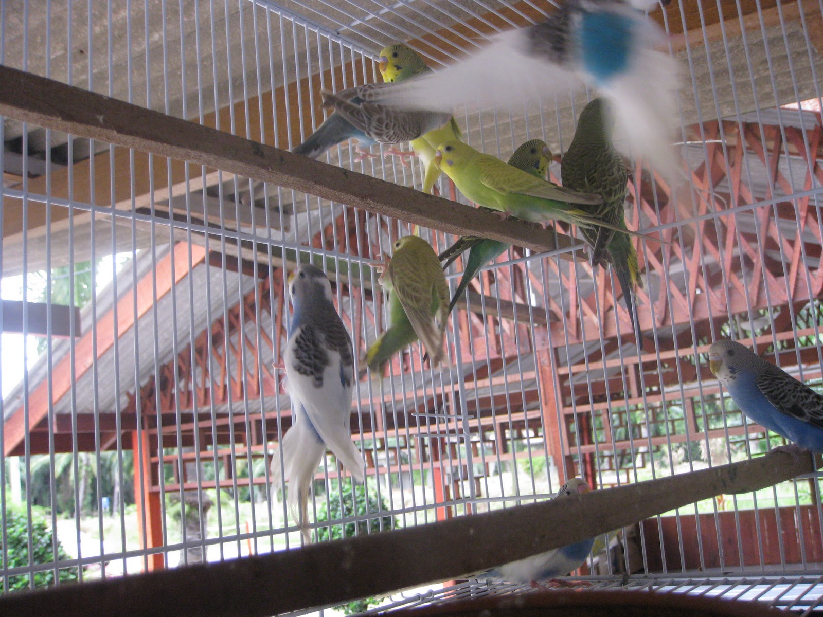 Taman Arnab Bukit Badong