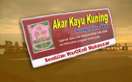 Herbal Akar Kayu Kuning - Jamu Obat Untuk Sakit Ginjal ~ sembilan ...