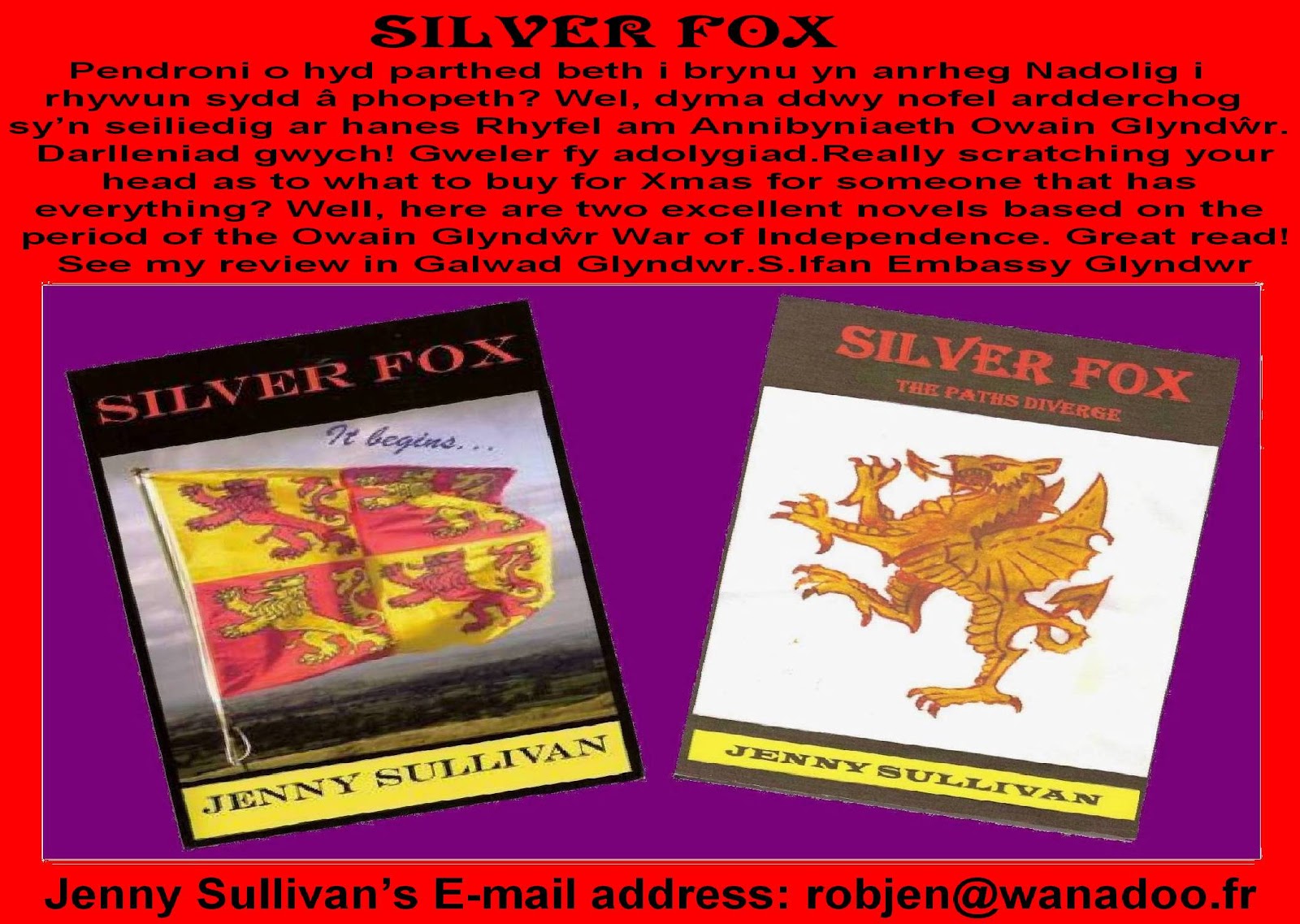 GALWAD GLYNDŴR: SILVER FOX REVIEW: BOOKS FOR XMAS RECOMMENDED BY ...