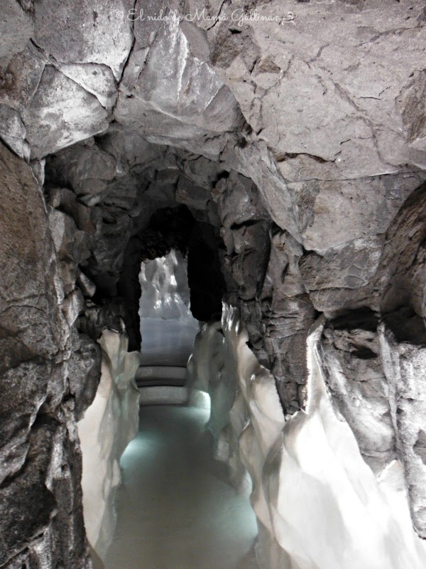 HOY COMPARTIMOS... PAREDES y MOJO VERDE DE CILANTRO / EL nido DE MAMÁ ...