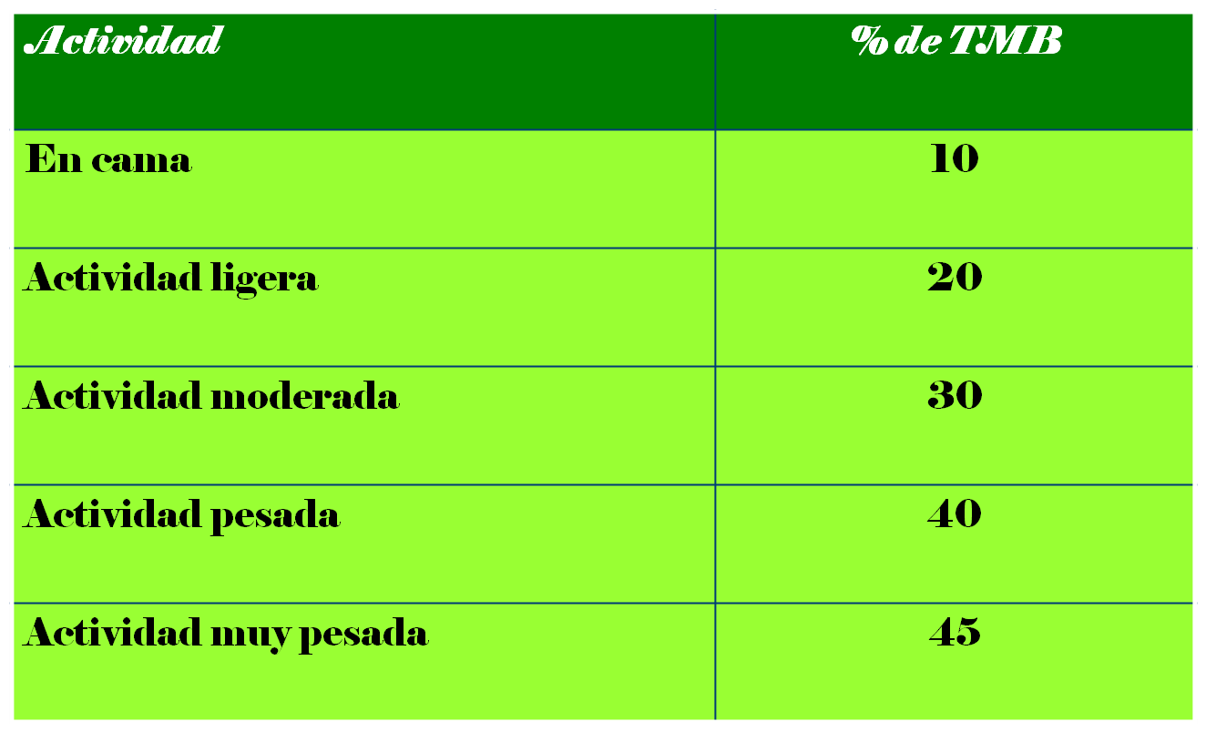 C lculo Del Gasto Energ tico Total Definici n De Gasto Energ tico Total c-lculo-del-gasto-energ-tico-total-definici-n-de-gasto-energ-tico-total