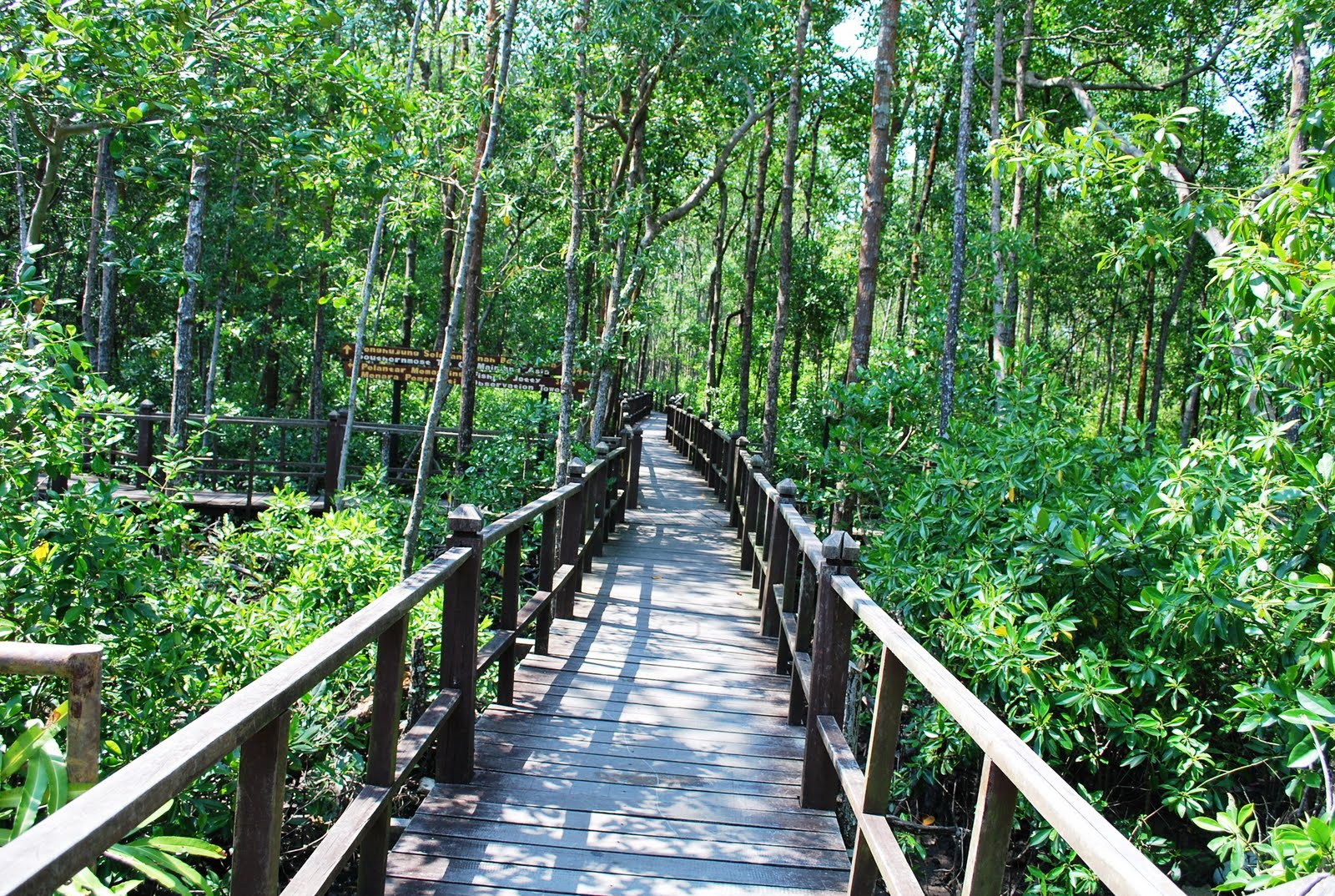 In passing - Malaysian: Tanjung Piai; the Southernmost tip of the ...