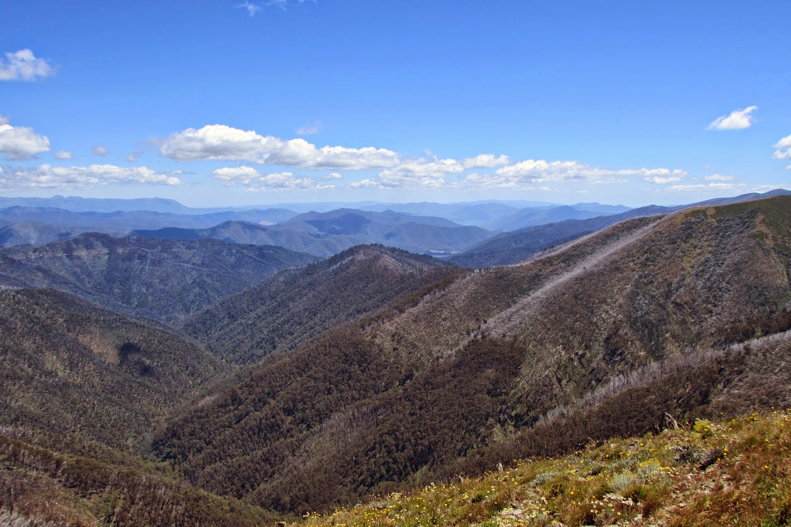 To Travel is to Live: Victorian Alps