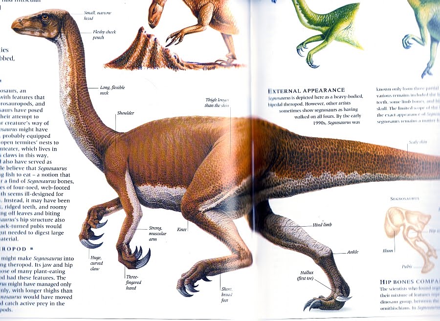 Love in the Time of Chasmosaurs: Vintage Dinosaur Art: The Ultimate ...