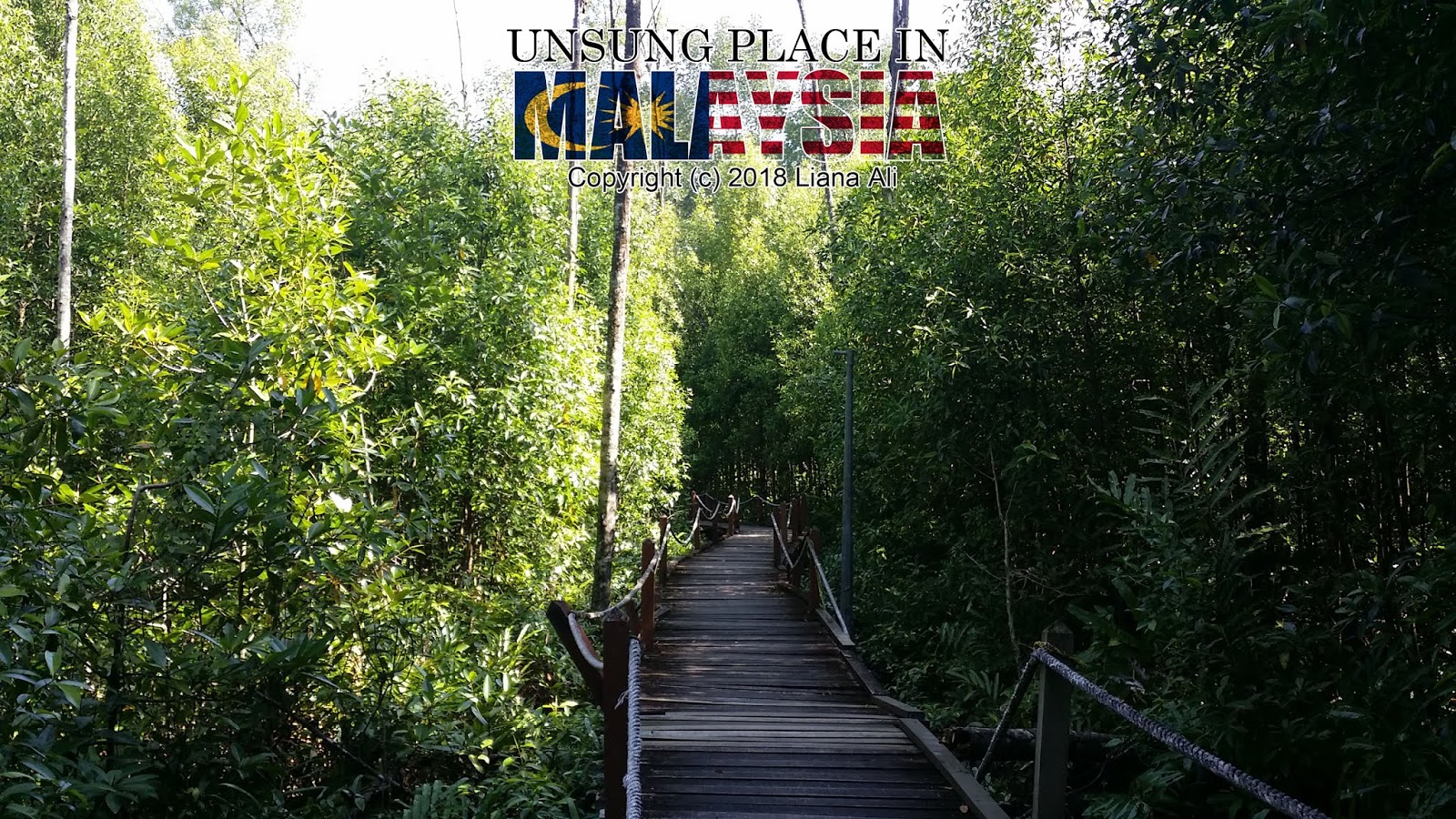 Jalan² ke Hutan Paya Laut Matang, Perak