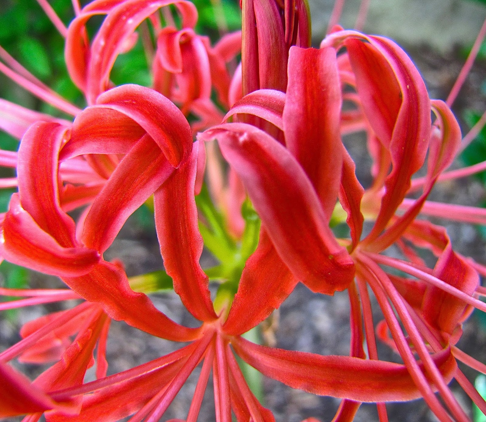 endoftheworldpartdeux: September 2013