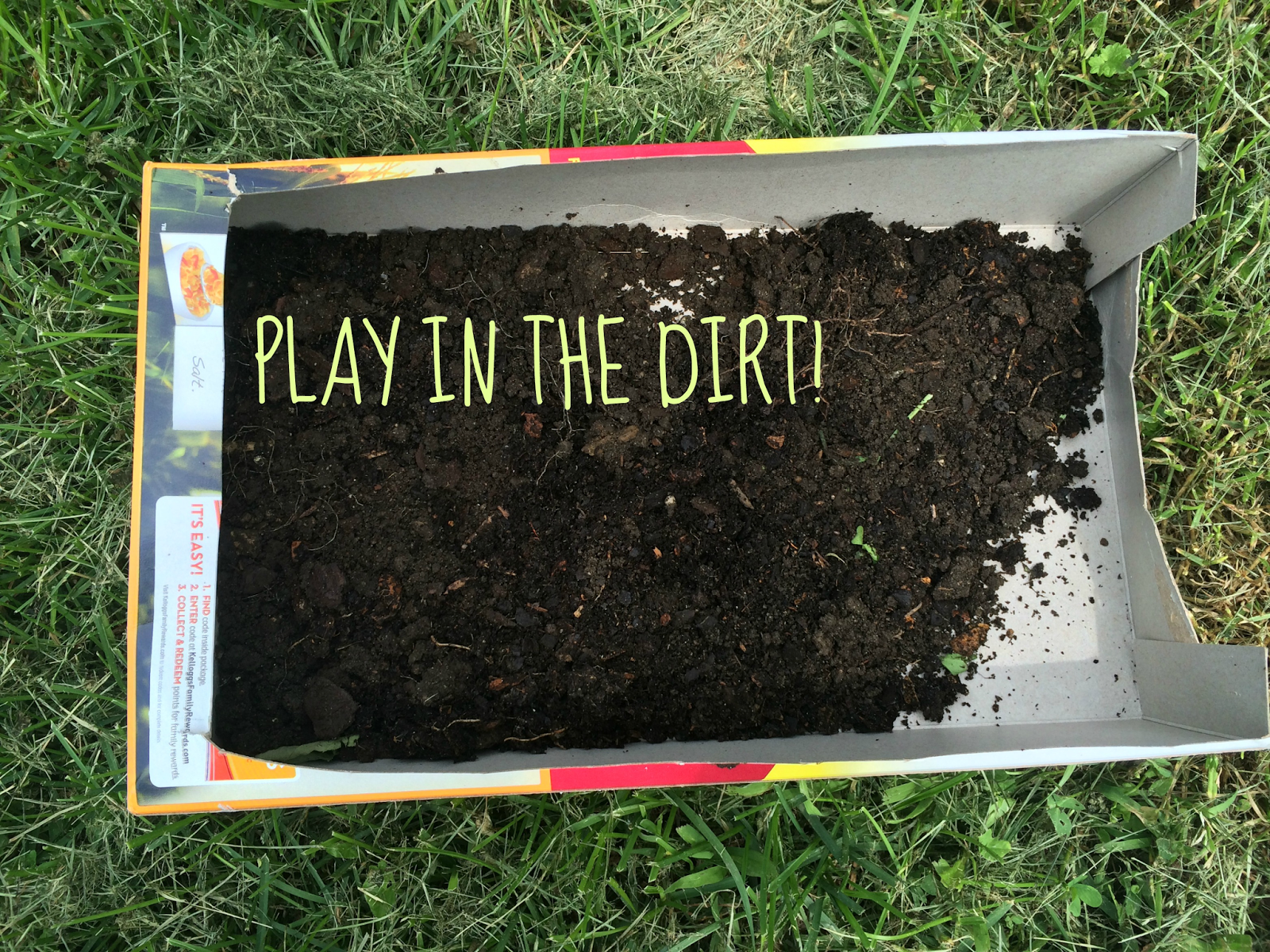 Mini Monets and Mommies: D is for Dirt