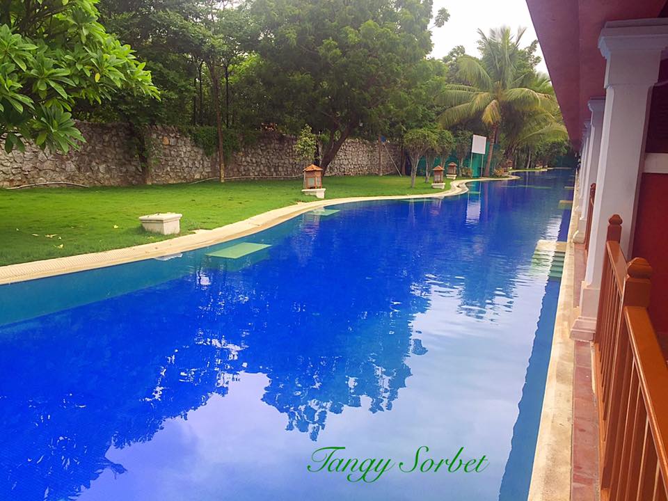 Tangy Sorbet: Getaway From it All at Leonia Holistic Destination