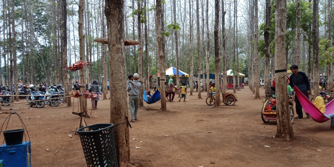 Tempat Wisata Di Hutan Jati - Info Wisata Unik di Indonesia