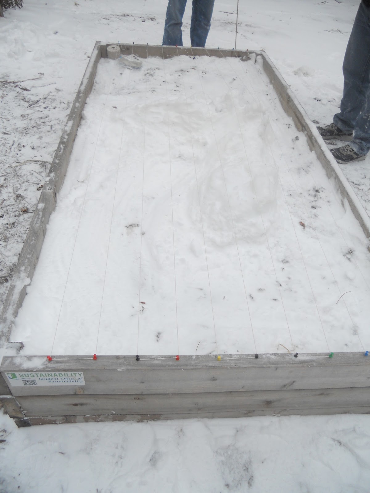 Geospatial Field Methods: Scale surface terrain model