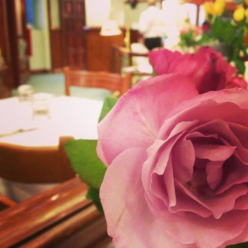 Room With Roses, 35 Adelaide Street, BRISBANE QLD 4000 | DolceBunnie