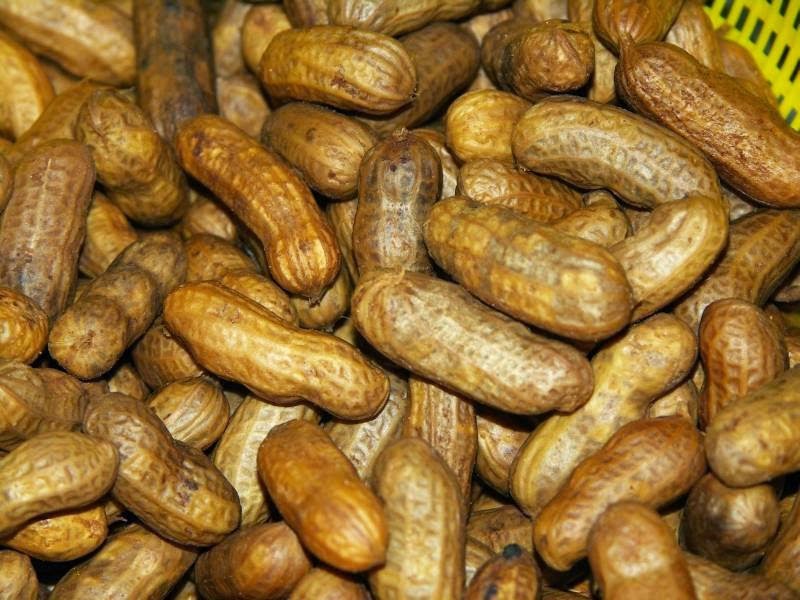 VYAKULA VITOKANAVYO NA ASILI YA MAFUTA ~ Mzizi Mkavu