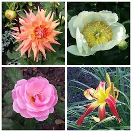 Trouvailles: La carte de Champlain de 1616