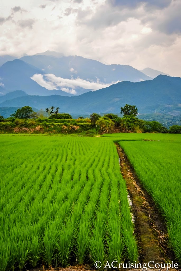Love the Fold: Spring Ride in Taiwan Day 5 - Hualien to Yuli,110km ...