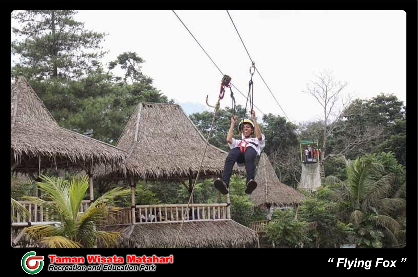 Wisata Puncak: Wahana Flying Fox