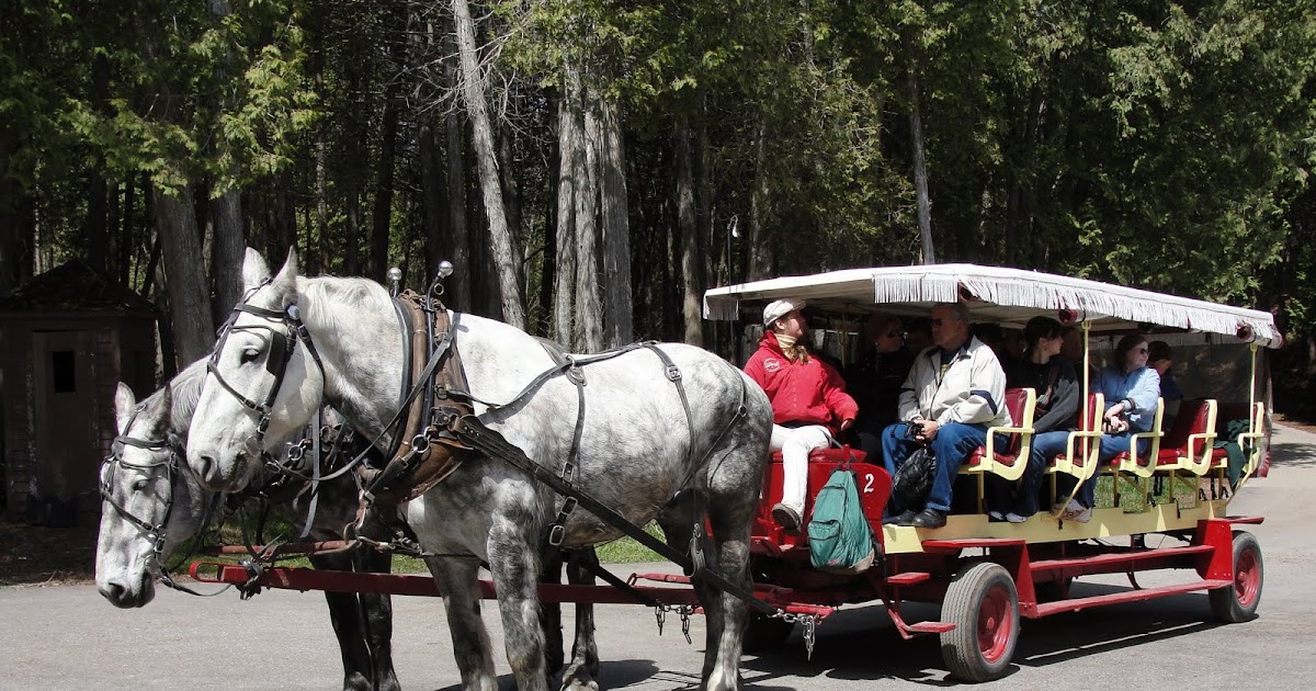 Travels With Carole: Mackinac Island, Michigan: horse-drawn carriage ...