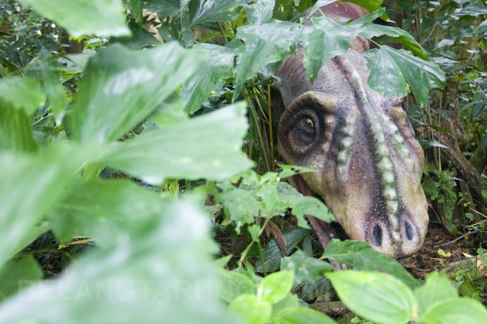 Jelajah Taman Dinosaur Extreme Jungle Park Di PD Ostrich Show Farm