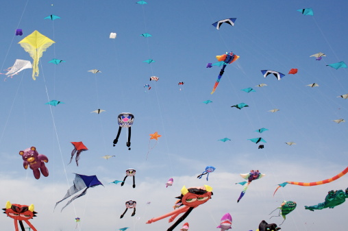 My Perspective: Utran the festival of Kites (Patang not the Bird)