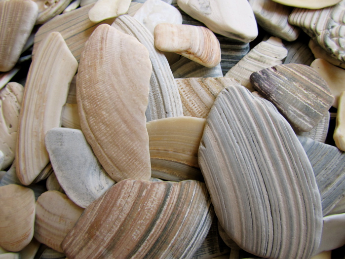 The Silly BooDilly: Embroidered Rocks???