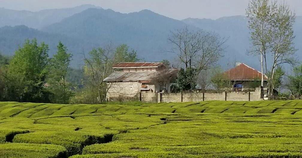 Uppersia Iran Travel blog: Northern Iran