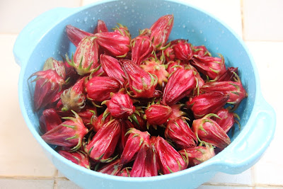 On The Green Side Of Life: Roselle Harvest, Seed Collection & Juice