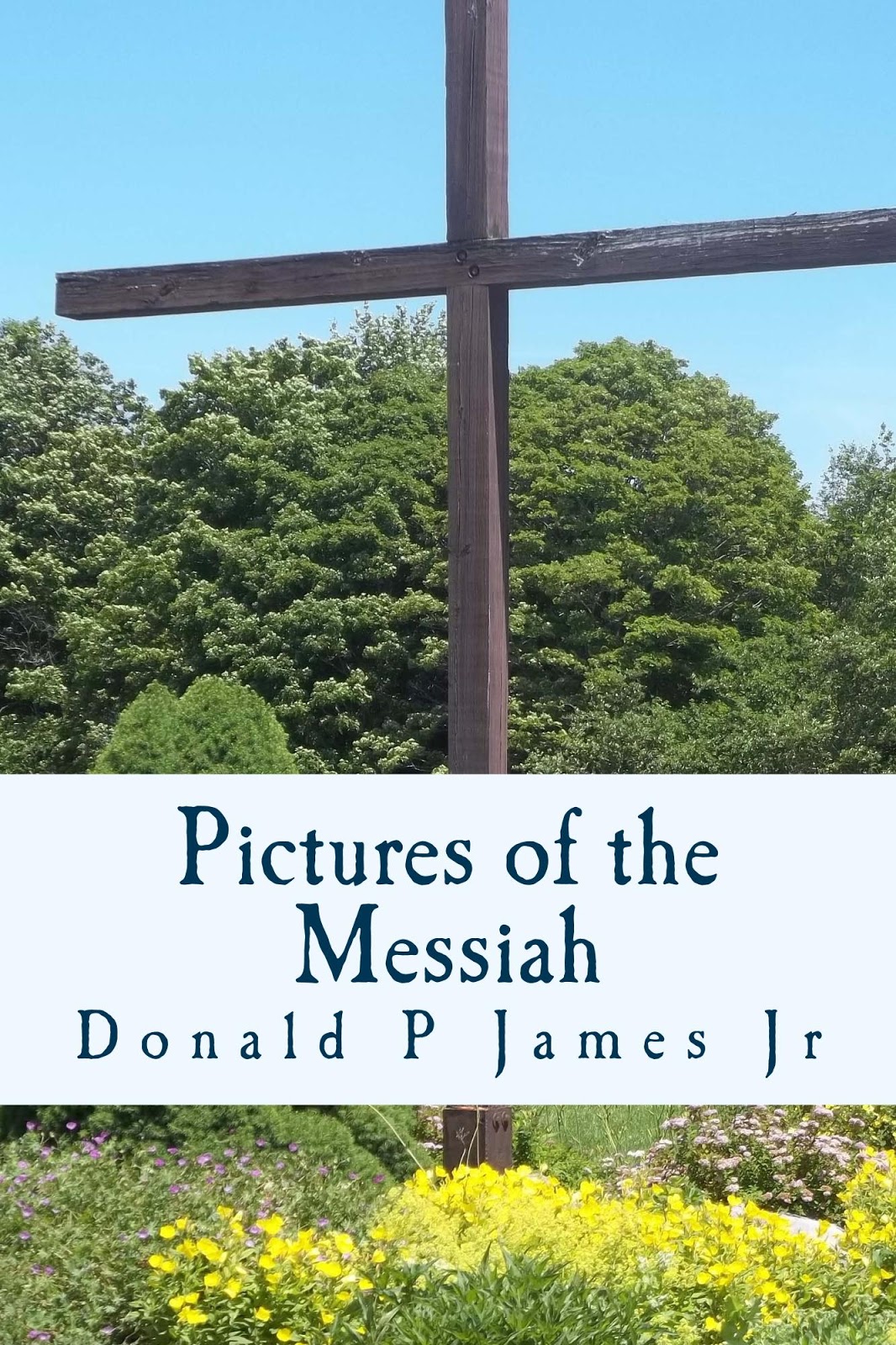 Two Poems (from the Collection - Pictures of the Messiah)