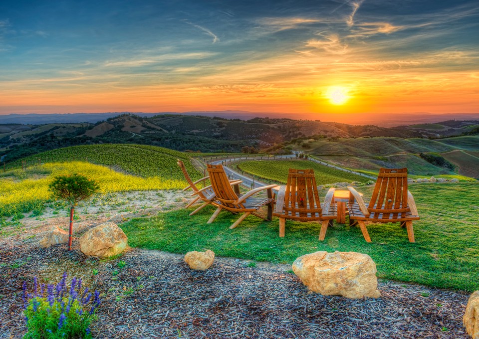 Daou Vineyards: Fine Californian Wine with a Lebanese Twist