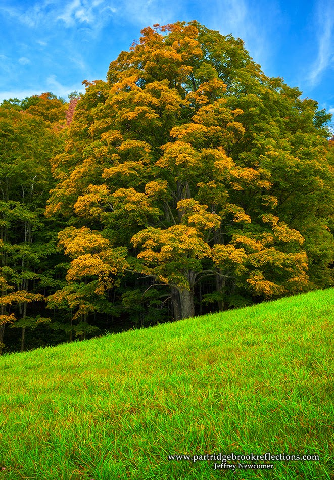 Getting it Right in the Digital Camera : Southern and Central Vermont ...