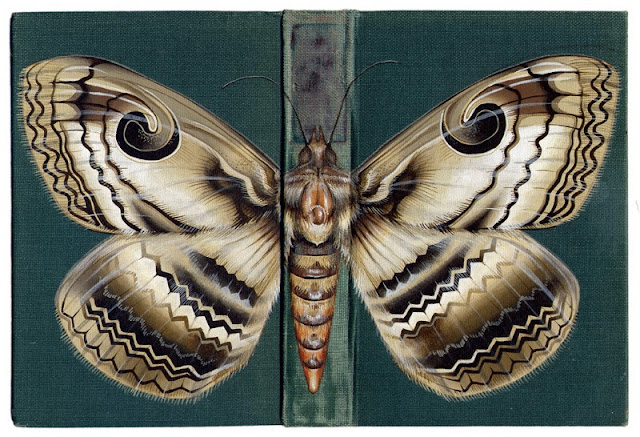 Animalarium: October 2013