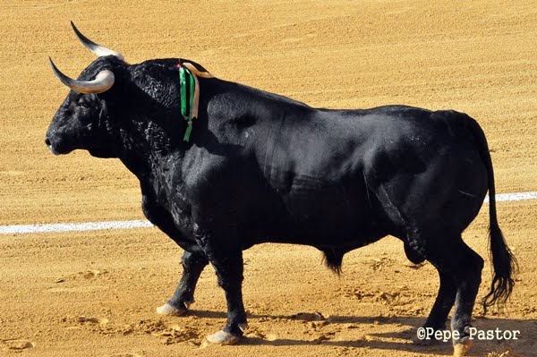 "de Jabugo y oros": noviembre 2012