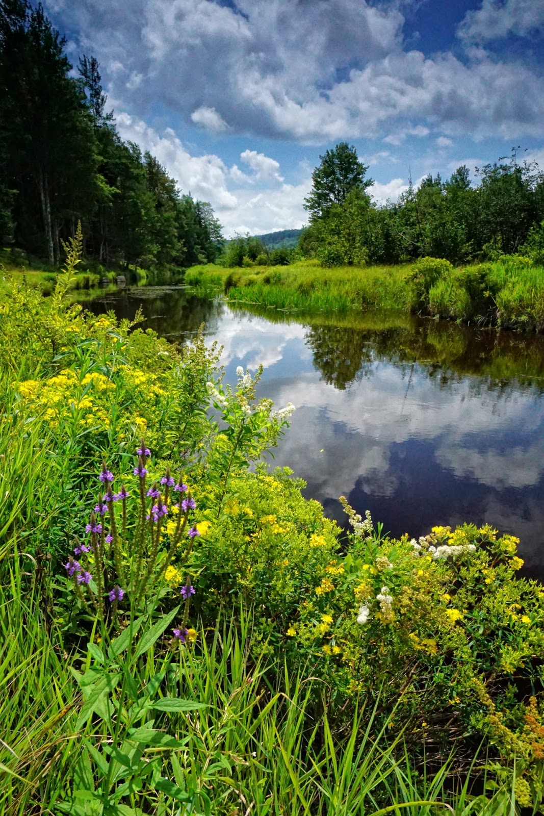 Discover West Virginia: Back to the Blackwater River Trail: Canaan Valley