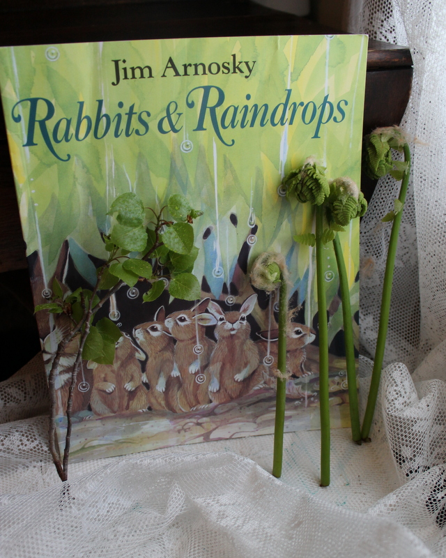 Books and Umbrellas: Rabbits & Raindrops by Jim Arnosky