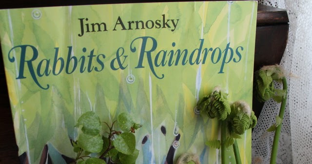 Books and Umbrellas: Rabbits & Raindrops by Jim Arnosky