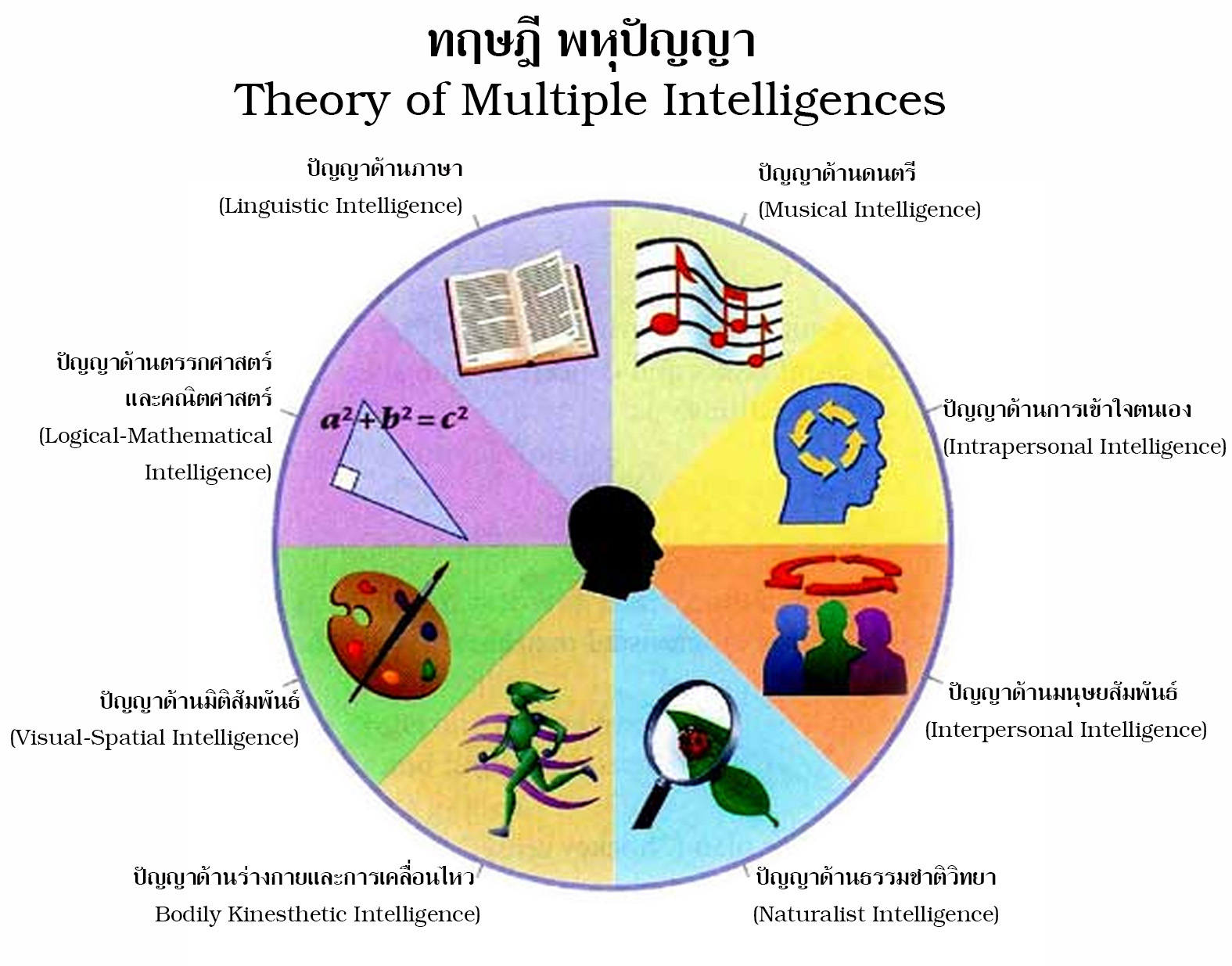 การจัดการเรียนรู้และการจัดการชั้นเรียน : The STUDIES Model: ทฤษฎีพหุ ...