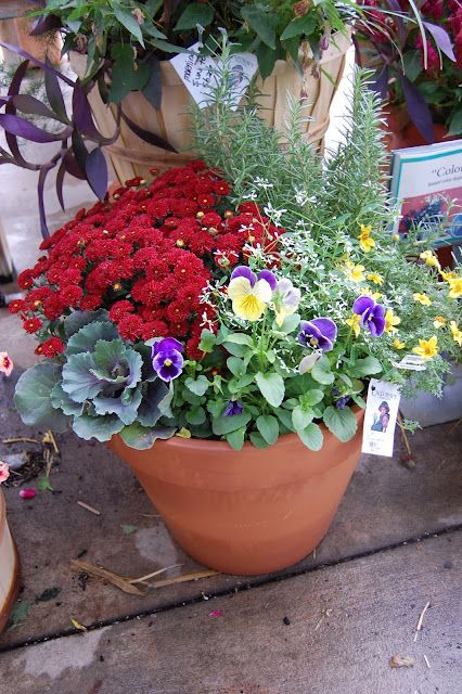 Lenna - My Pot Guru - Preppy Empty Nester F