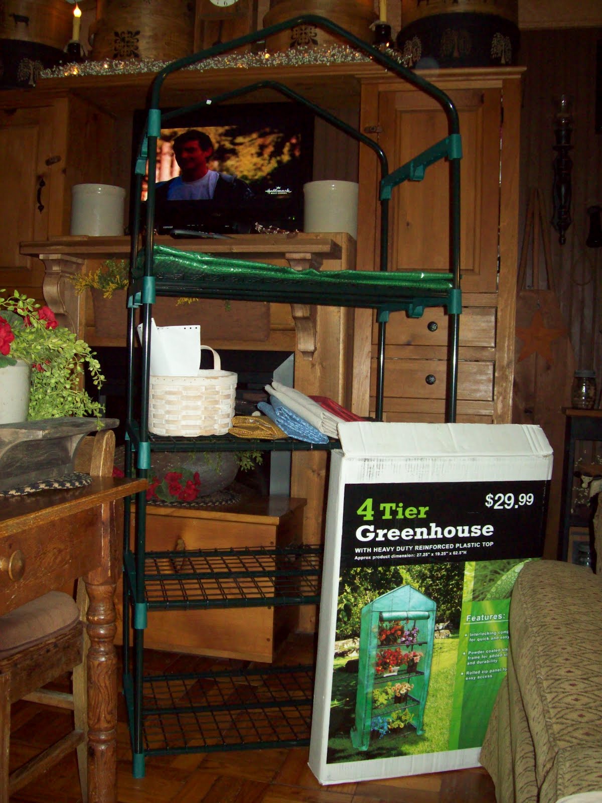 A Primitive Homestead: Plans To Fill The Homestead Cabinets & Greenshouse